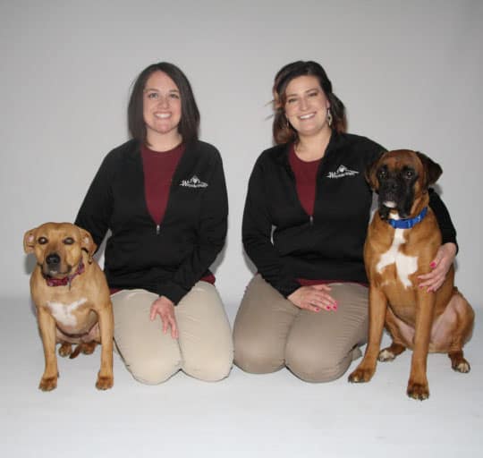Everything You Need to Know: Animal Welfare & Humane Education in ...